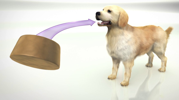 Case Studies for Animal Pharmaceuticals – CAST Animal Health